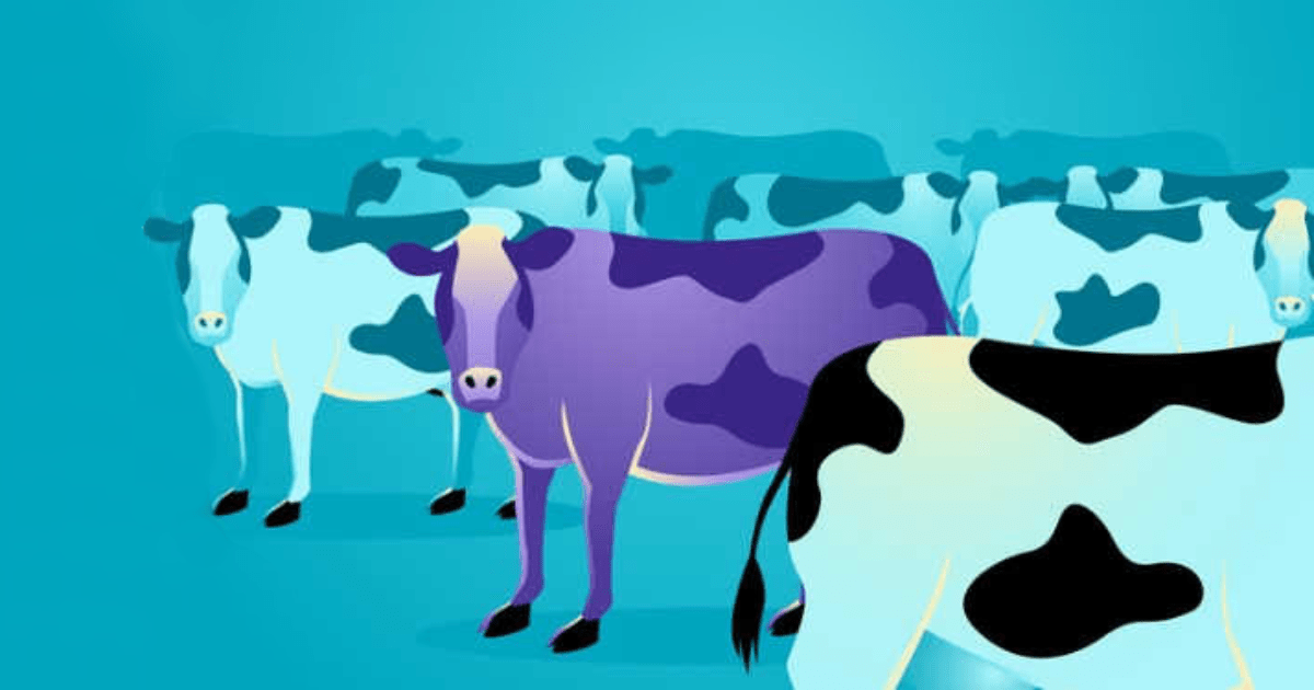 Profile segmentation examples: The benefits of customer personalization
